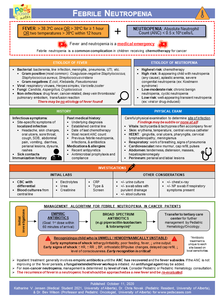 Neutropenic Fever Typical Pathogens During Bacterial Sepsis In